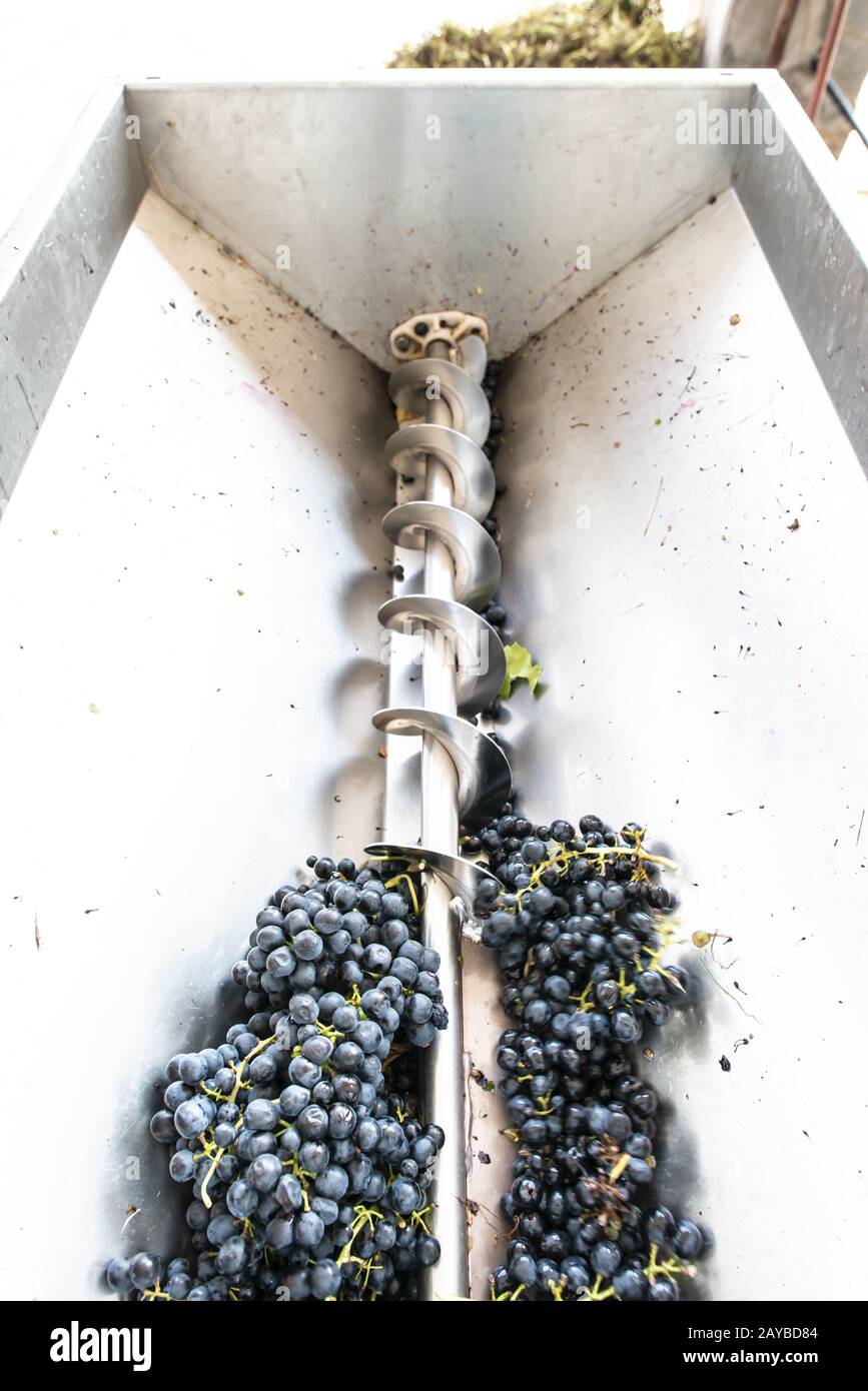 Grape crushing destemmer hi-res stock photography and images - Alamy