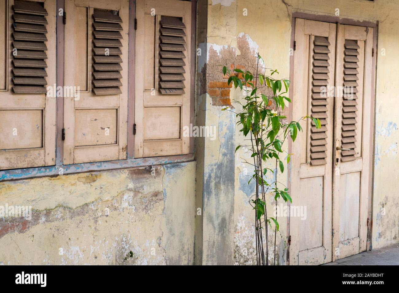 Triwindu market hi-res stock photography and images - Alamy