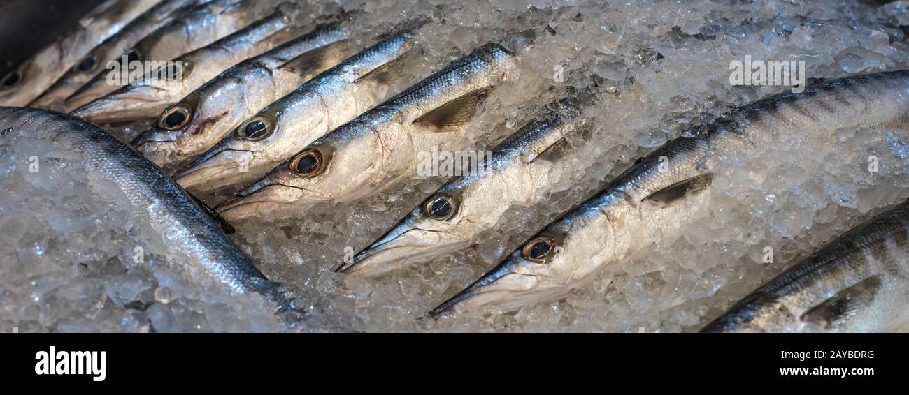 Fresh barracuda fish market hi-res stock photography and images - Alamy