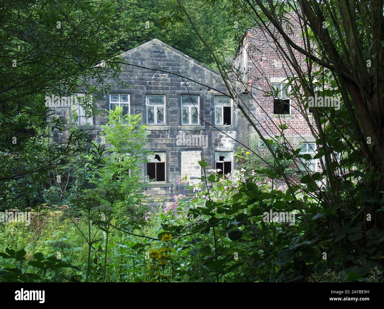 an old deserted building with broken windows overgrown and surrounded by woodland trees Stock ...