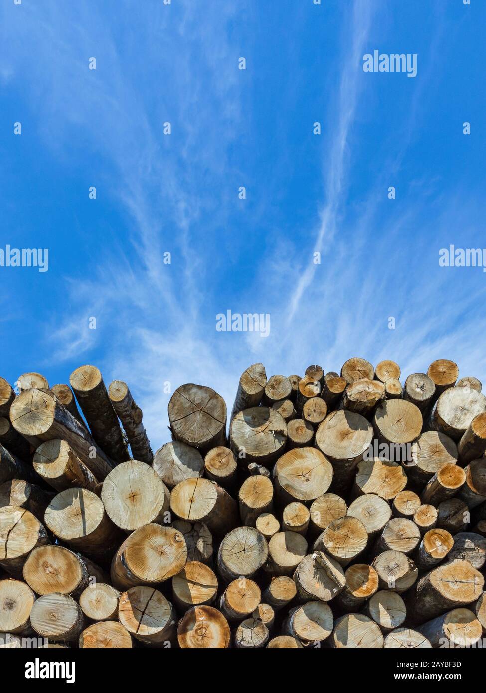 Timber stacked hi-res stock photography and images - Alamy