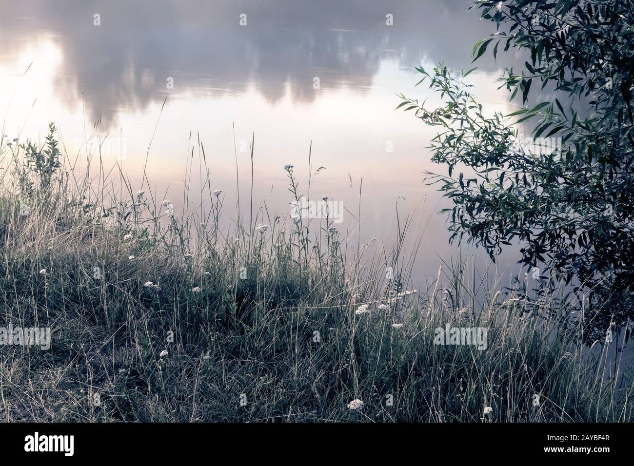 Grass grass bank hi-res stock photography and images - Alamy
