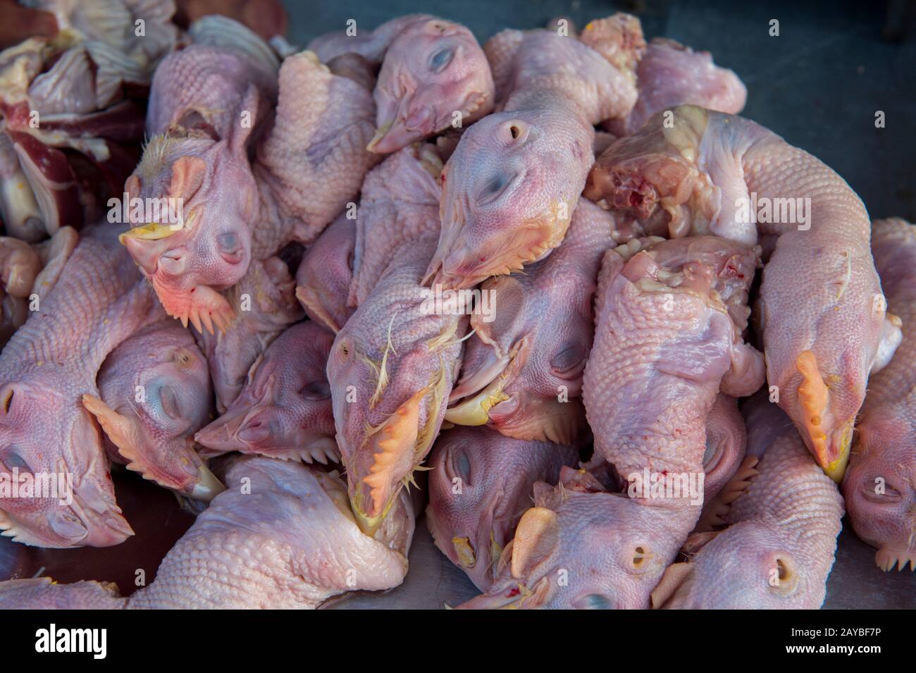 Fresh slaughtered chicken heads for sale at the daily morning street ...
