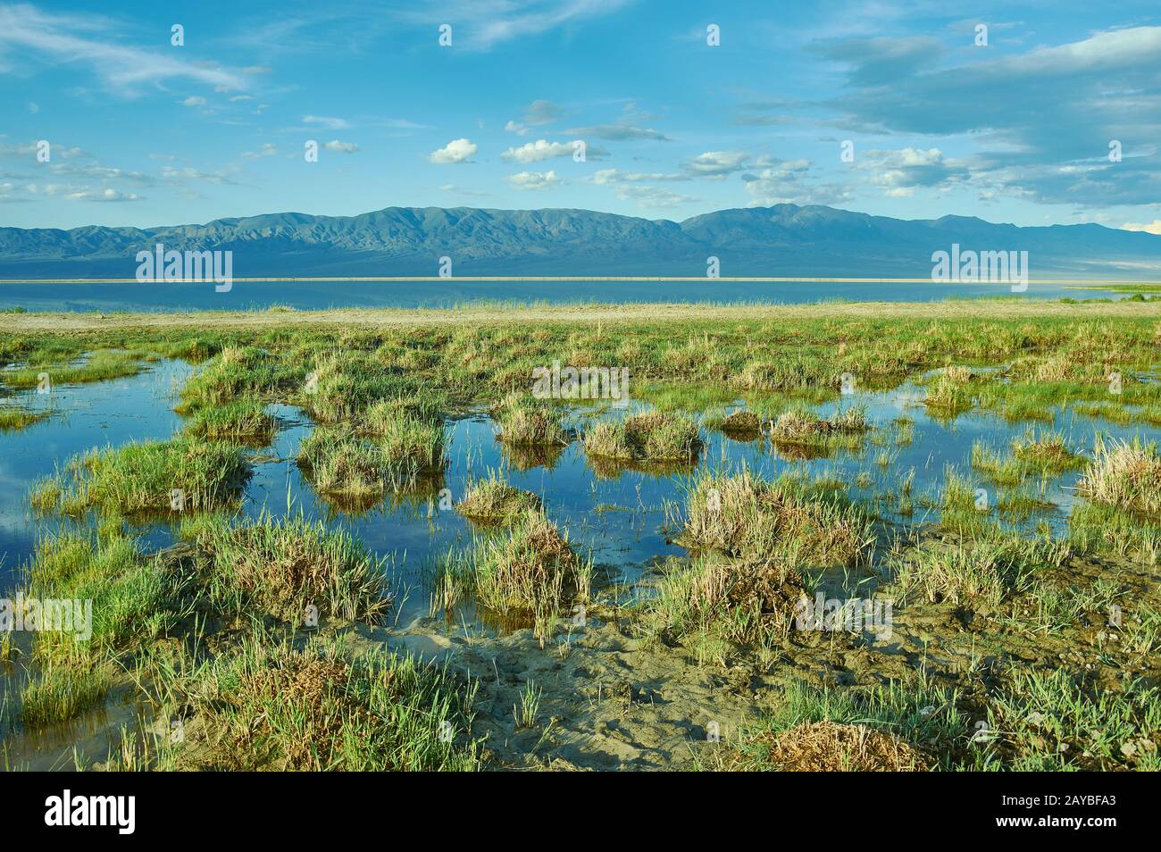 Nuur hi-res stock photography and images - Alamy