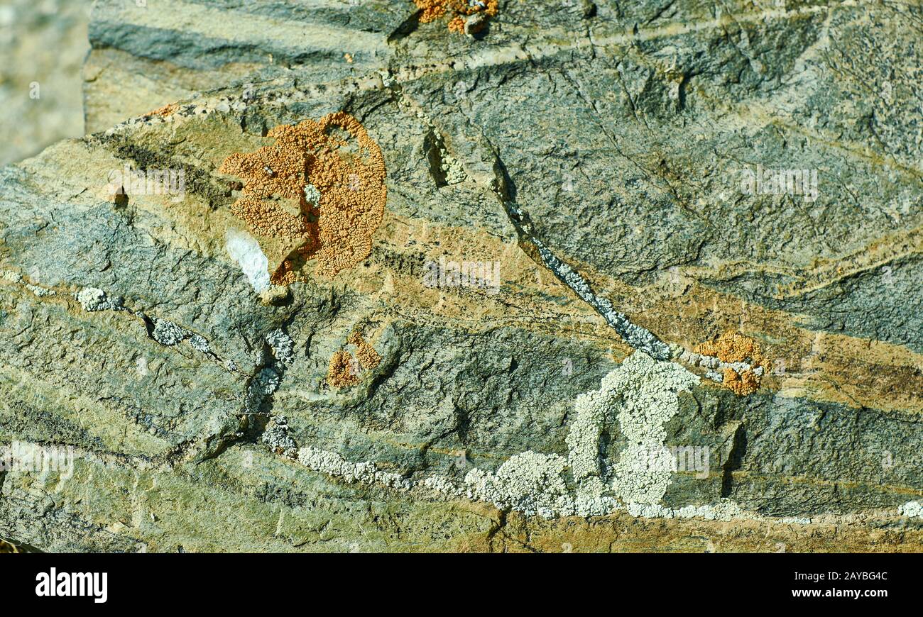 Mongolian Structure of surface of the stone Stock Photo - Alamy