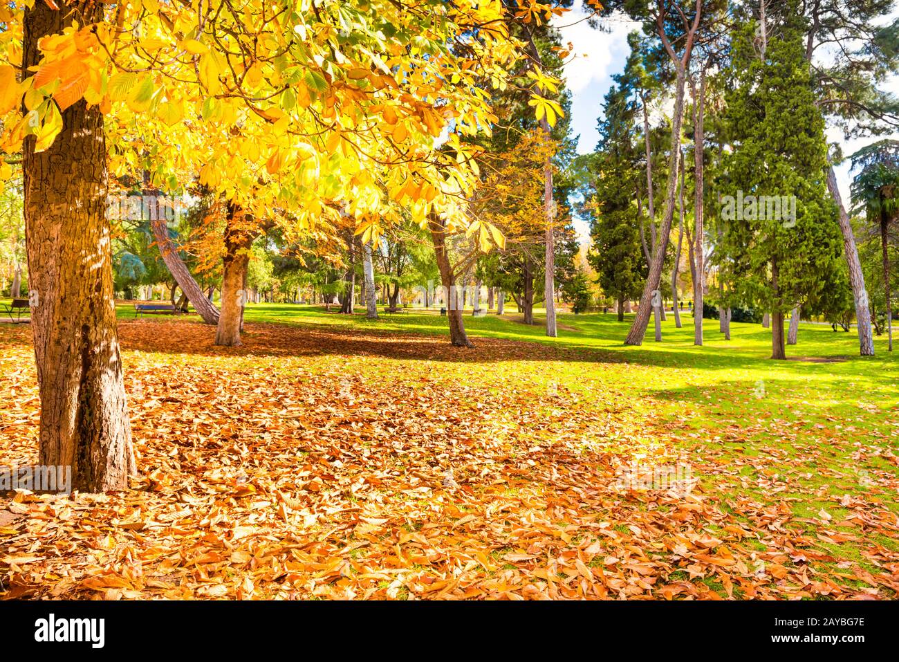 Chestnut walk hi-res stock photography and images - Alamy
