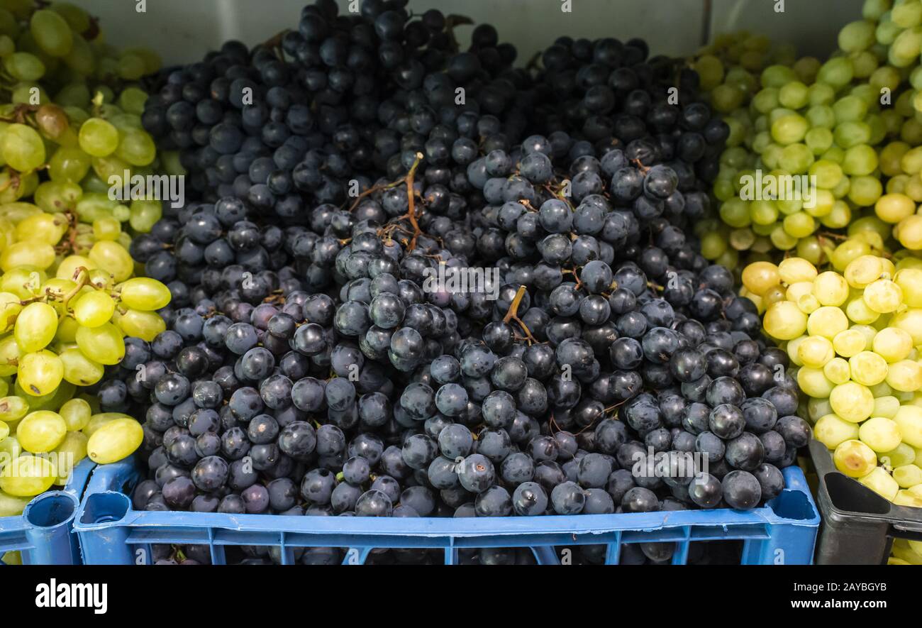 Grapes Shelf High Resolution Stock Photography and Images - Alamy
