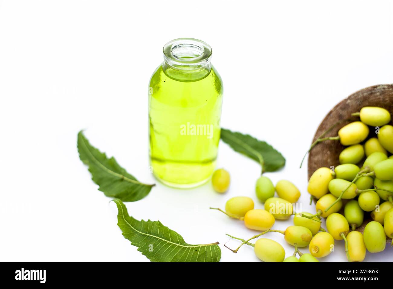 Neem plants azadirachta indica hi-res stock photography and images - Alamy