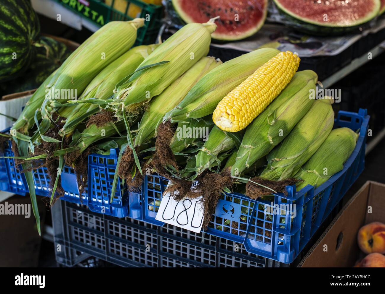Raw corn in the market shelf Stock Photo - Alamy