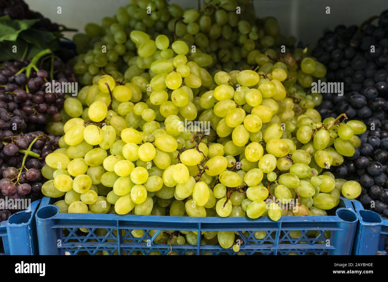 Grapes shelf hi-res stock photography and images - Alamy