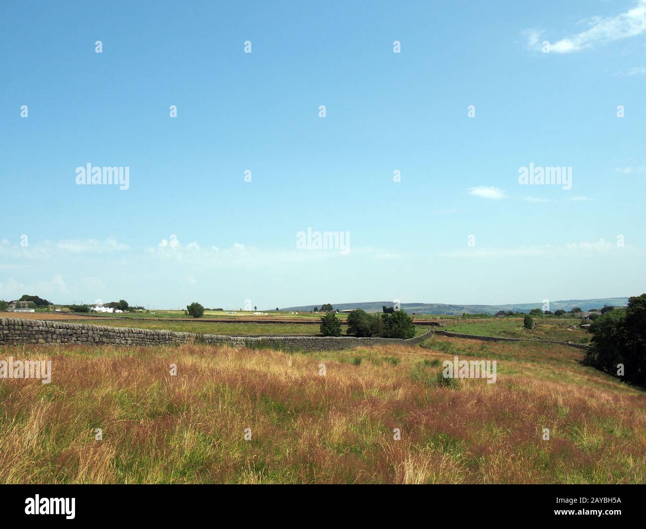 Long panoramic view grass hi-res stock photography and images - Alamy