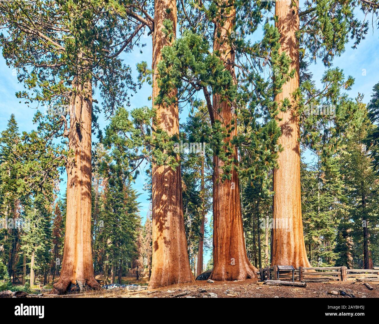 Sequoia National Park at autumn Stock Photo - Alamy