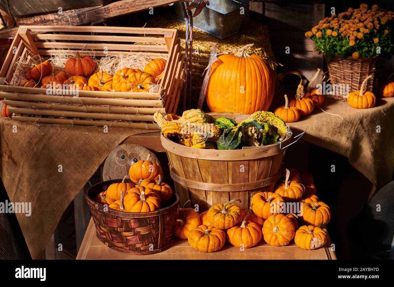 Farm fresh still life box hi-res stock photography and images - Alamy