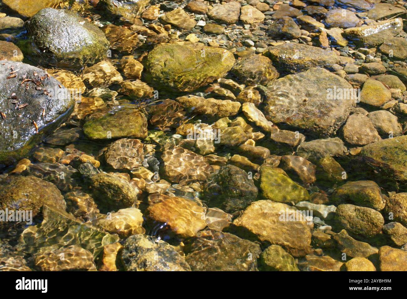 Pebbles in stream hi-res stock photography and images - Alamy