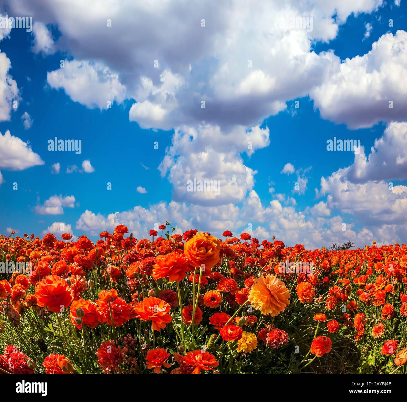 Rural tourism hi-res stock photography and images - Alamy