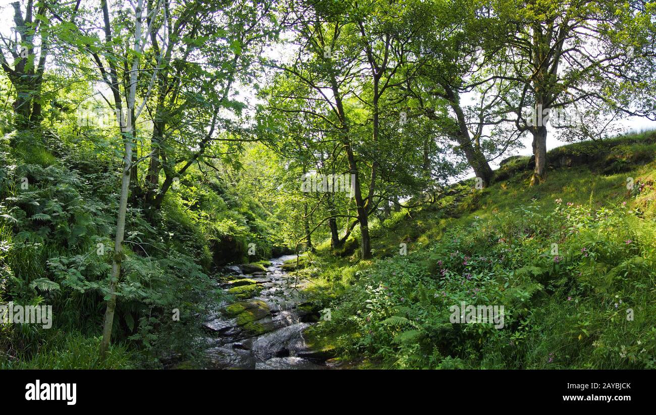 Hillside rocks hi-res stock photography and images - Alamy