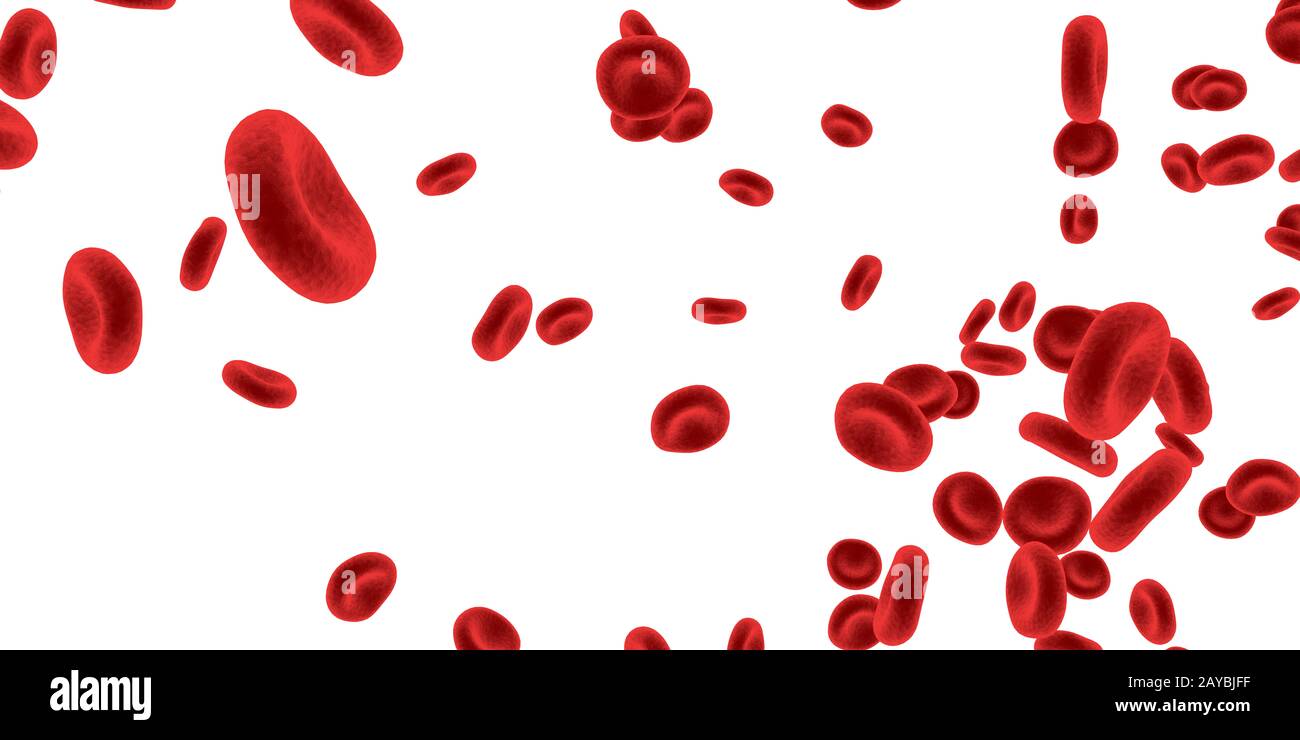 Blood Cells Circulation Stock Photo - Alamy