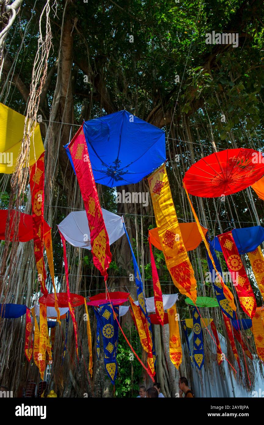 A Banyan tree decorated for the Buddhist full moon celebration at the ...