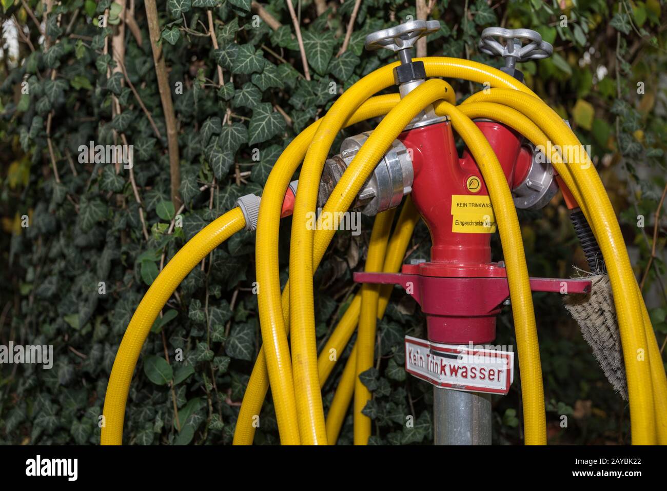 Hydrant - Water tap with water hose Stock Photo - Alamy