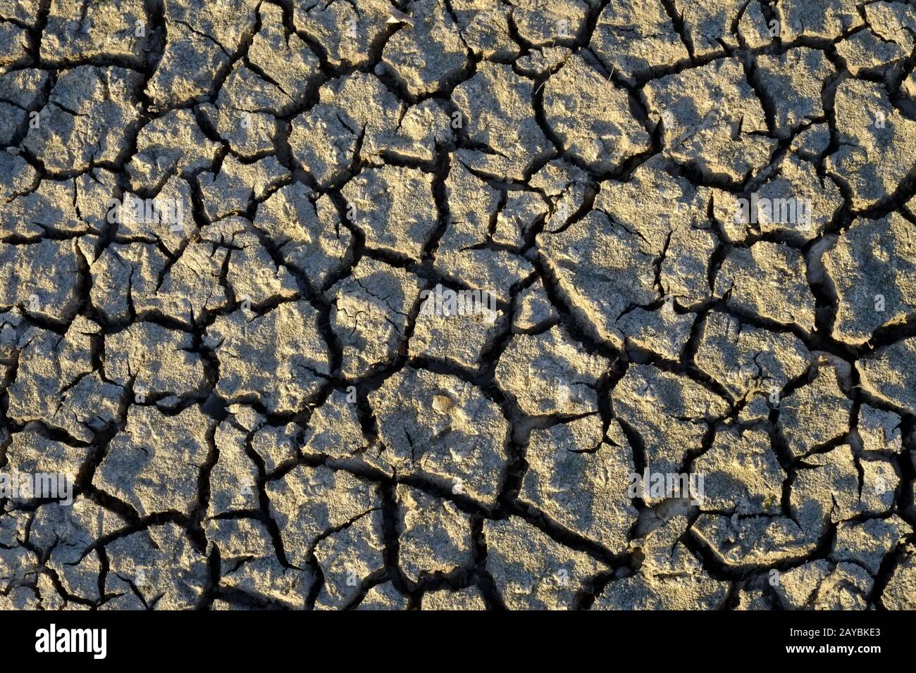 Dry cracks, drought Stock Photo - Alamy