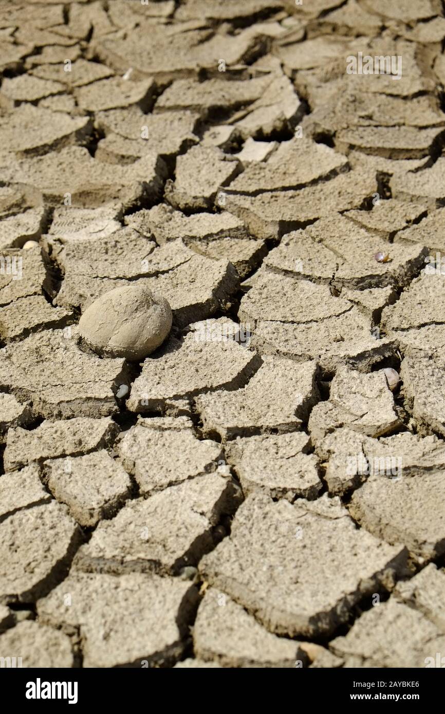 Dried out puddle Stock Photo - Alamy