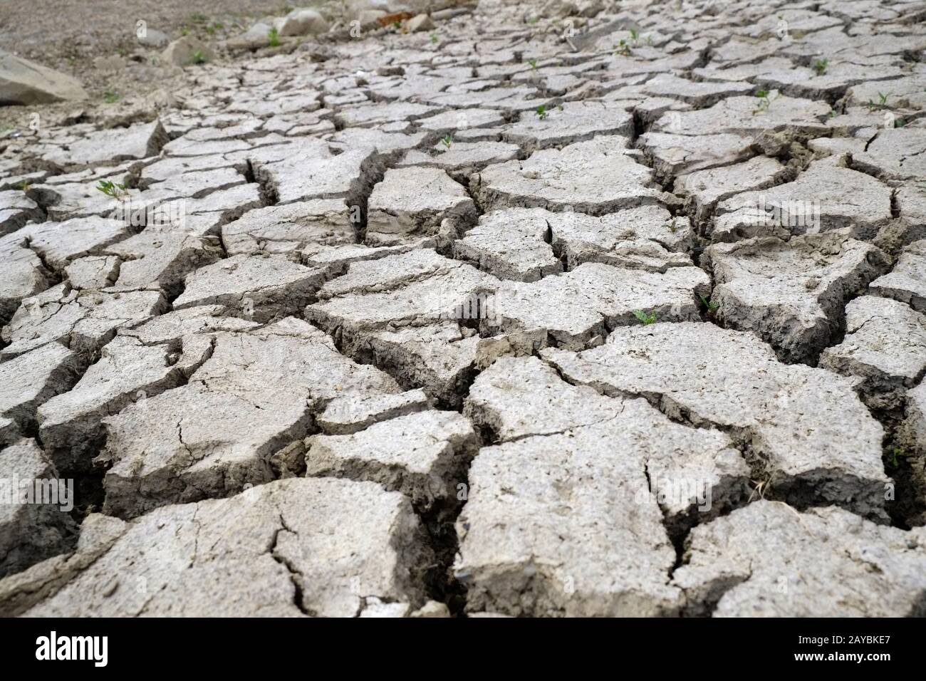Dried out soil Stock Photo - Alamy