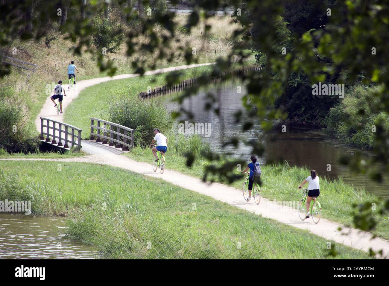 typical Dutch landscape with bike path and canal Stock Photo - Alamy