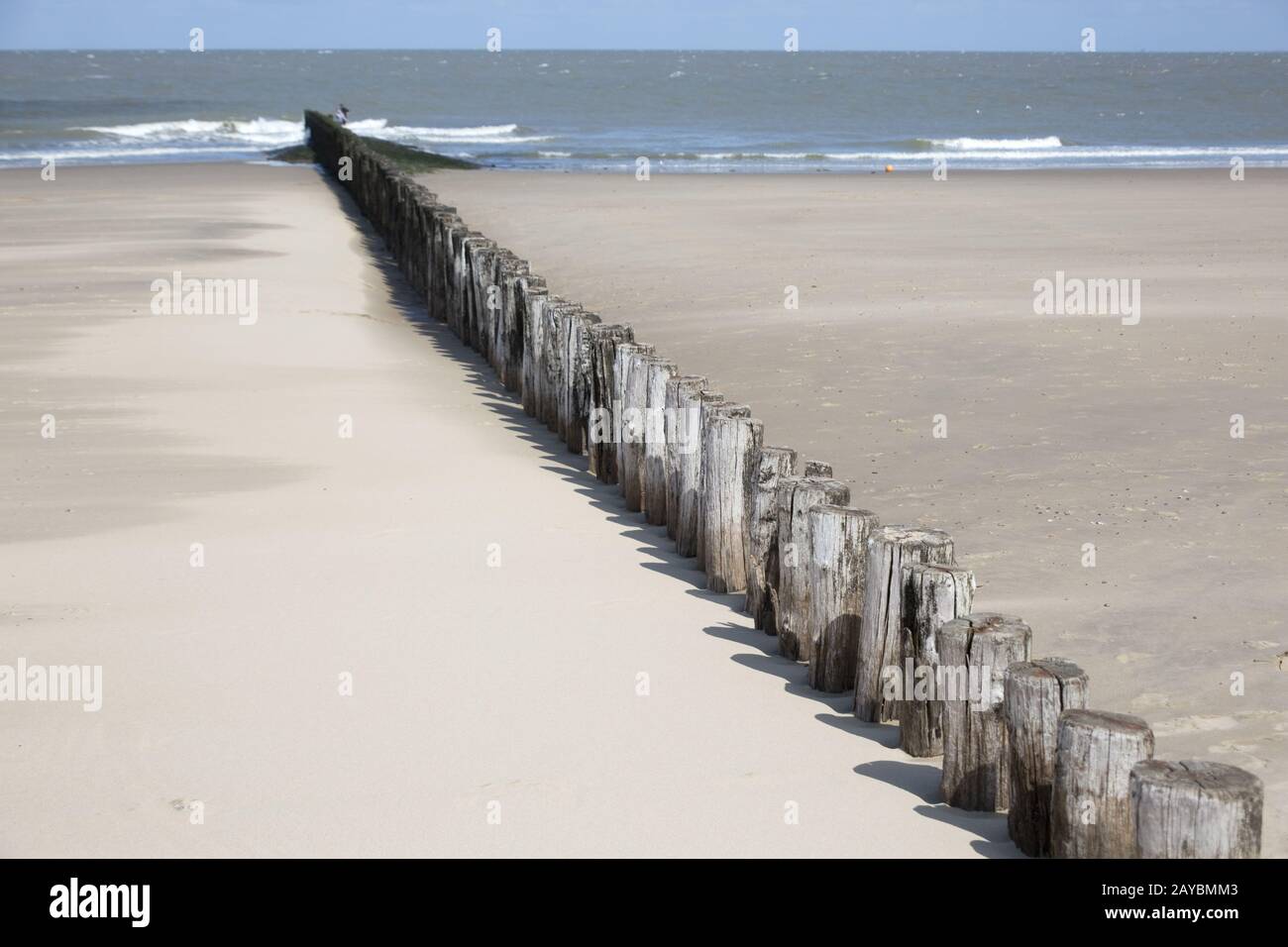 Coastal protection by wooden groynes on the sandy beach Stock Photo - Alamy