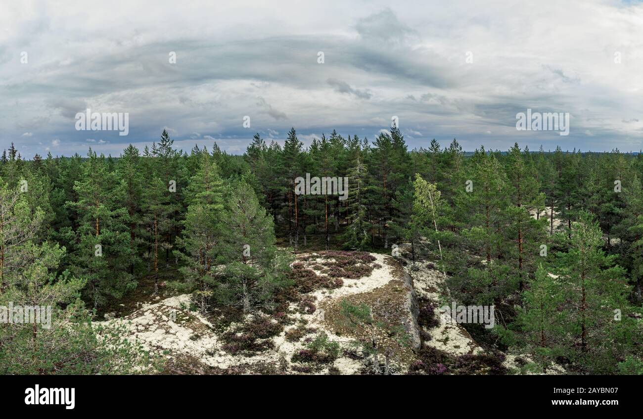 Wooded view hi-res stock photography and images - Alamy