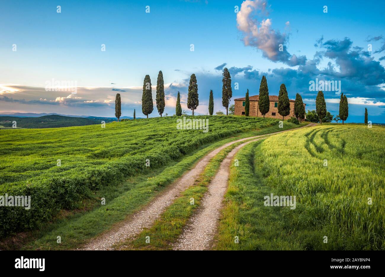 Scenic view of typical Tuscany landscape, Italy Stock Photo - Alamy