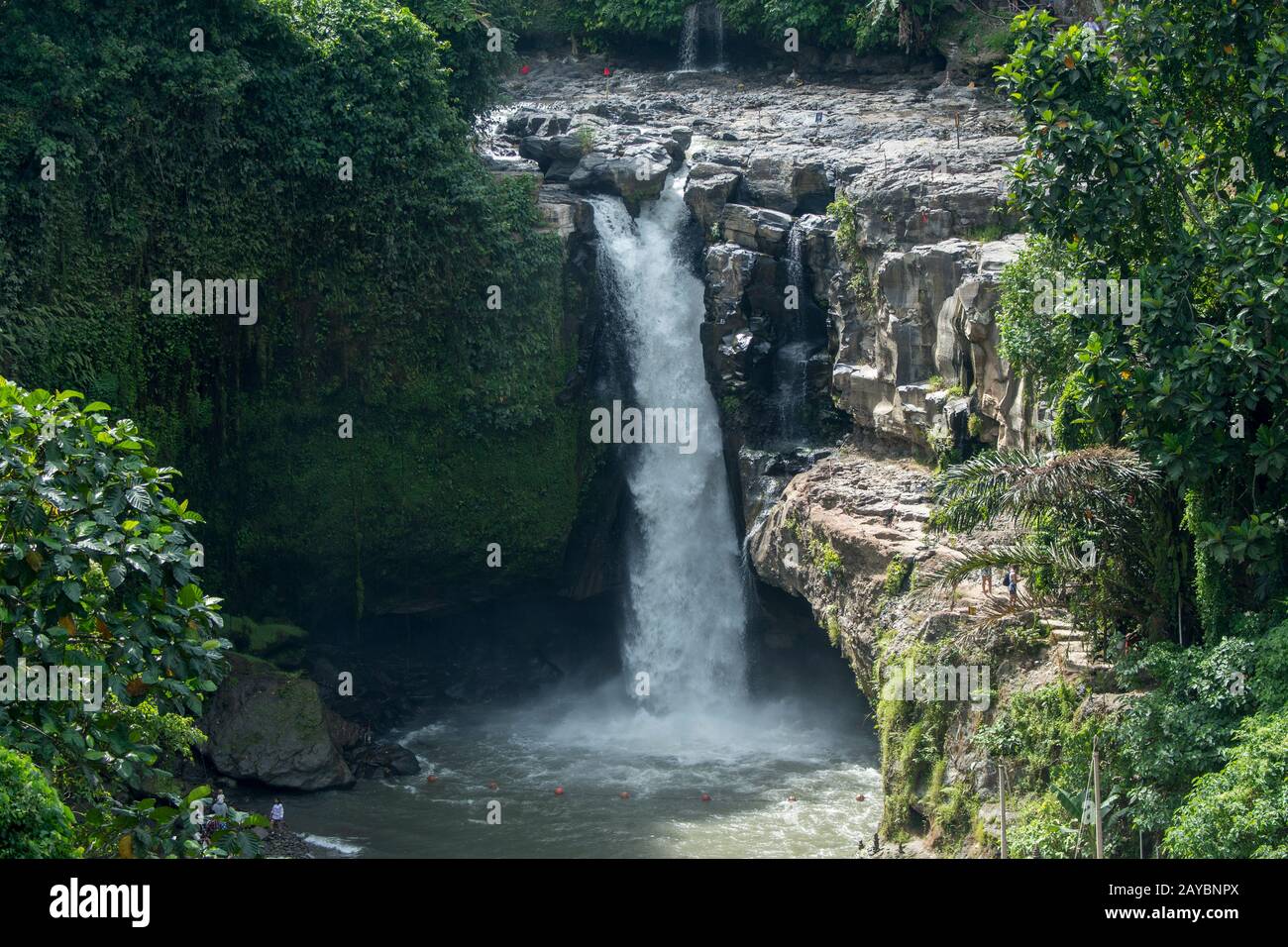 View of the Tegenungan Waterfall (Tukad Petanu River) near Ubud, Bali ...