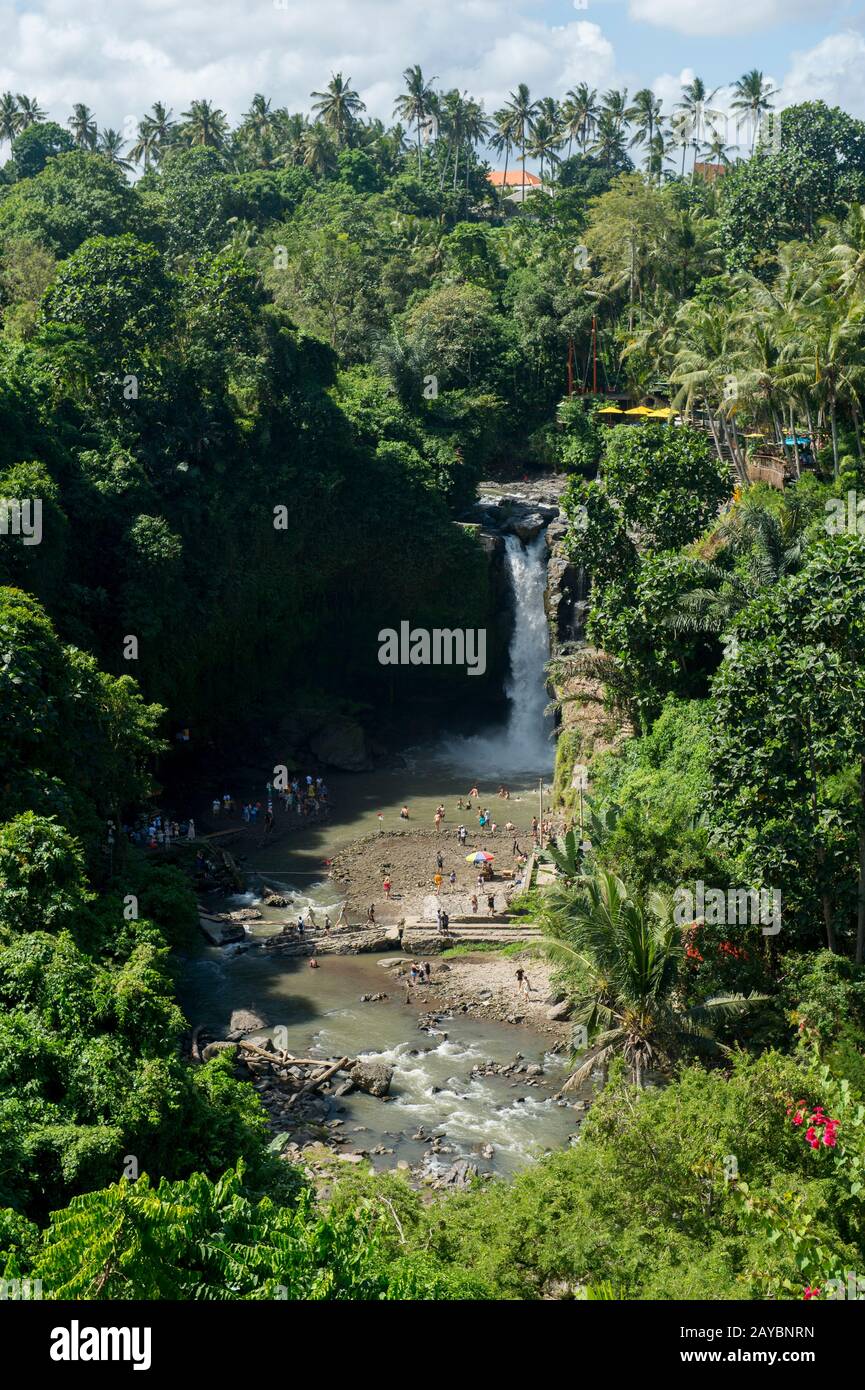 View of the Tegenungan Waterfall (Tukad Petanu River) near Ubud, Bali ...