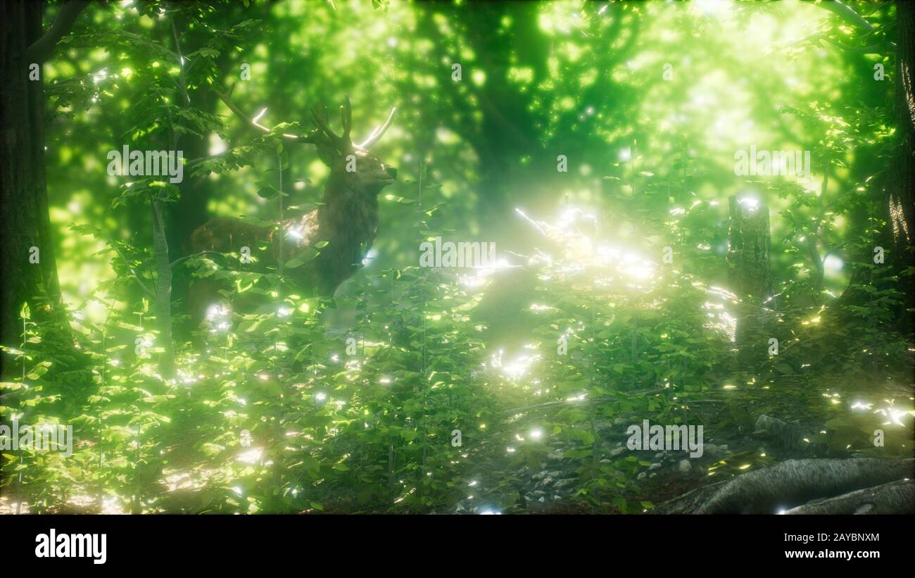Great Red Deer in a Green Forest Stock Photo - Alamy