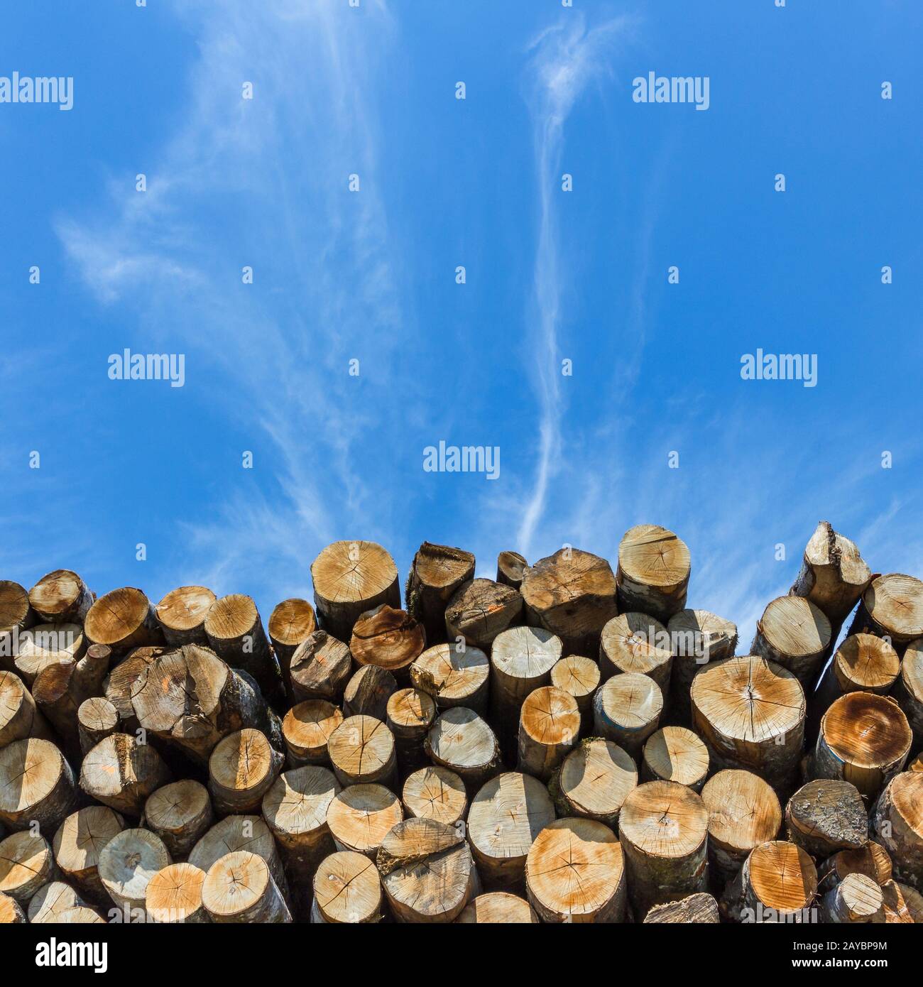 Timber stacked hi-res stock photography and images - Alamy