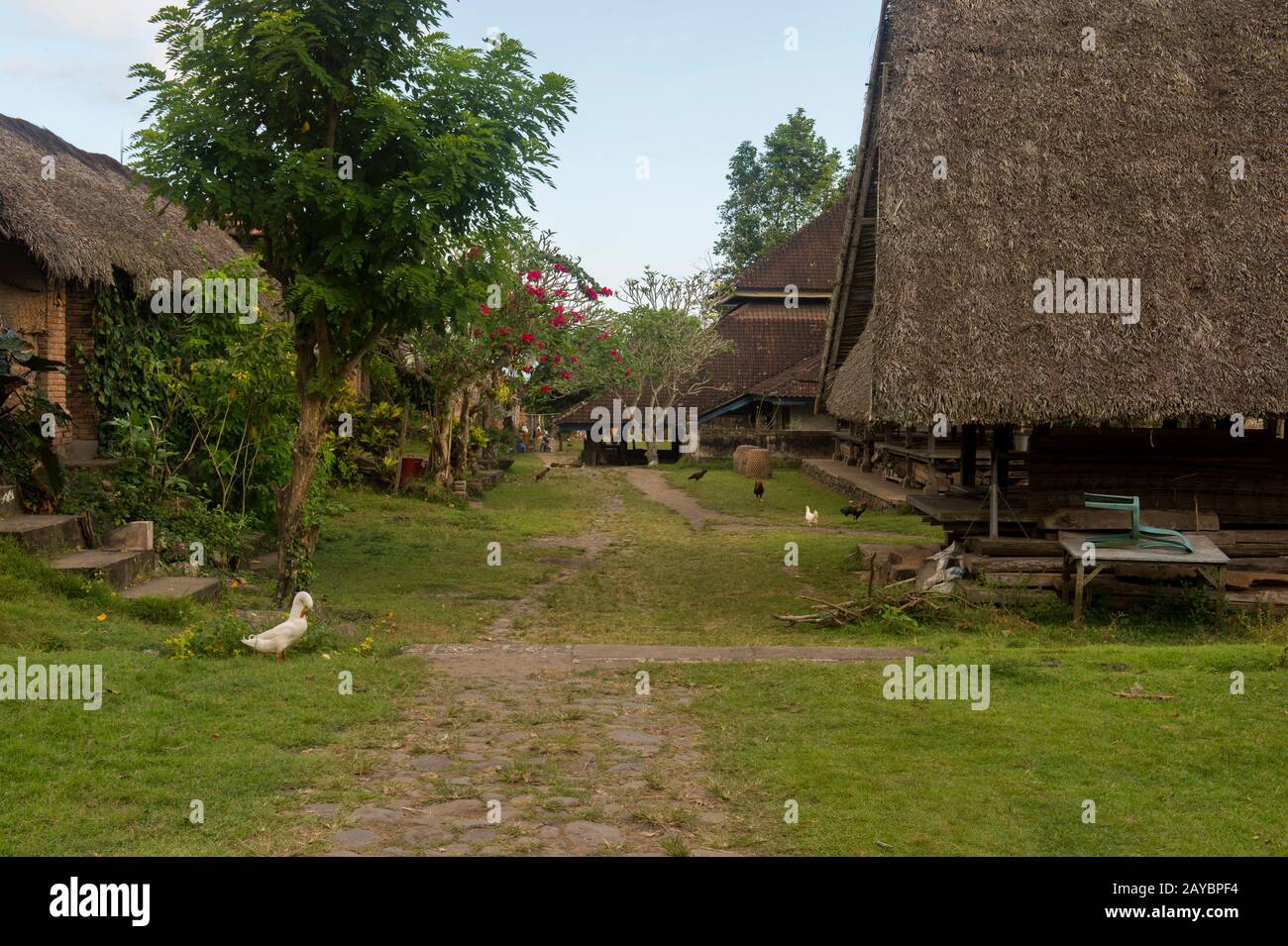 The Tenganan Village in East Bali, Indonesia, retains much of its ...
