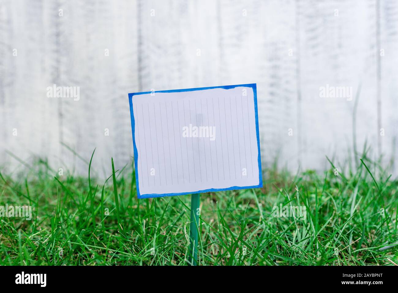 plain-paper-cardboard-attached-to-a-stick-and-plugged-in-the-grassy