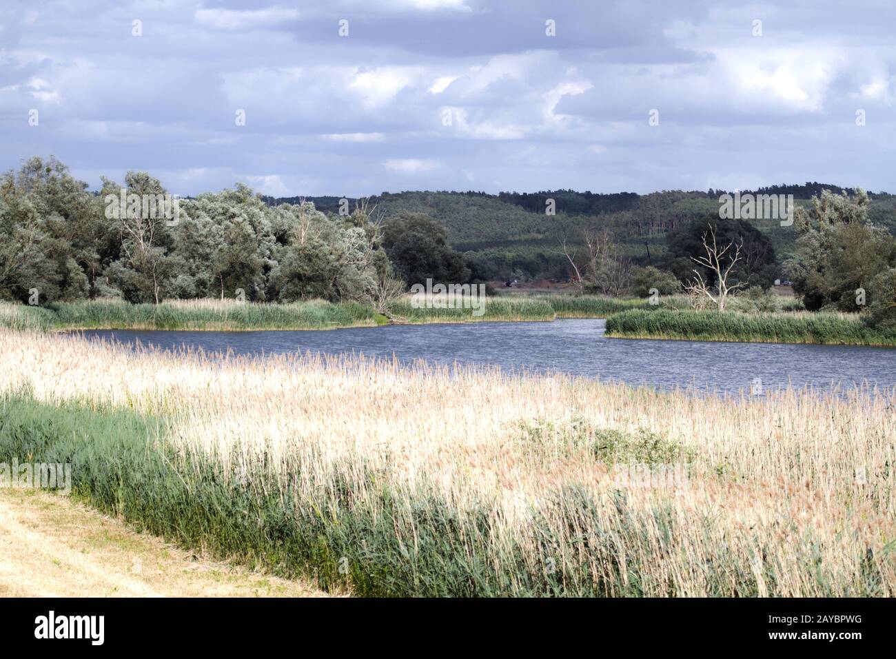 Caseow, Brandenburg, Uckermark, East Germany Stock Photo - Alamy