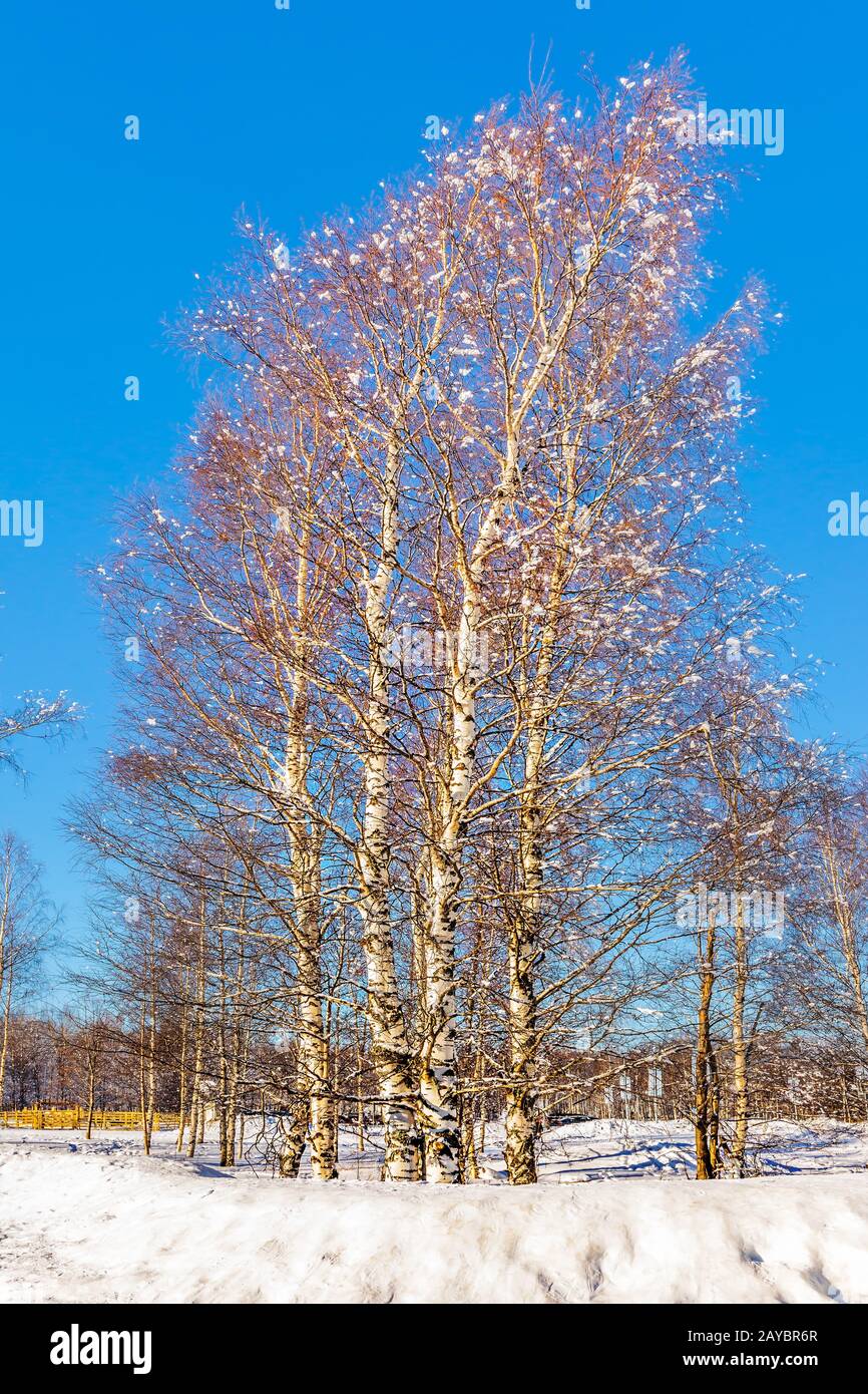 New year sunset sky hi-res stock photography and images - Alamy