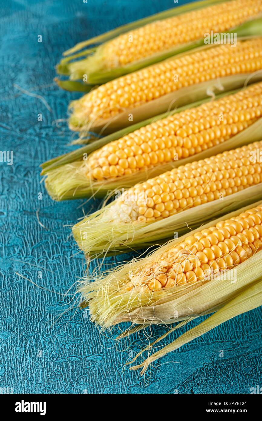 Fresh raw corn cobs Stock Photo - Alamy