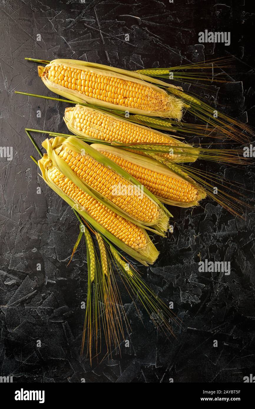 Corn and wheat spikes Stock Photo - Alamy