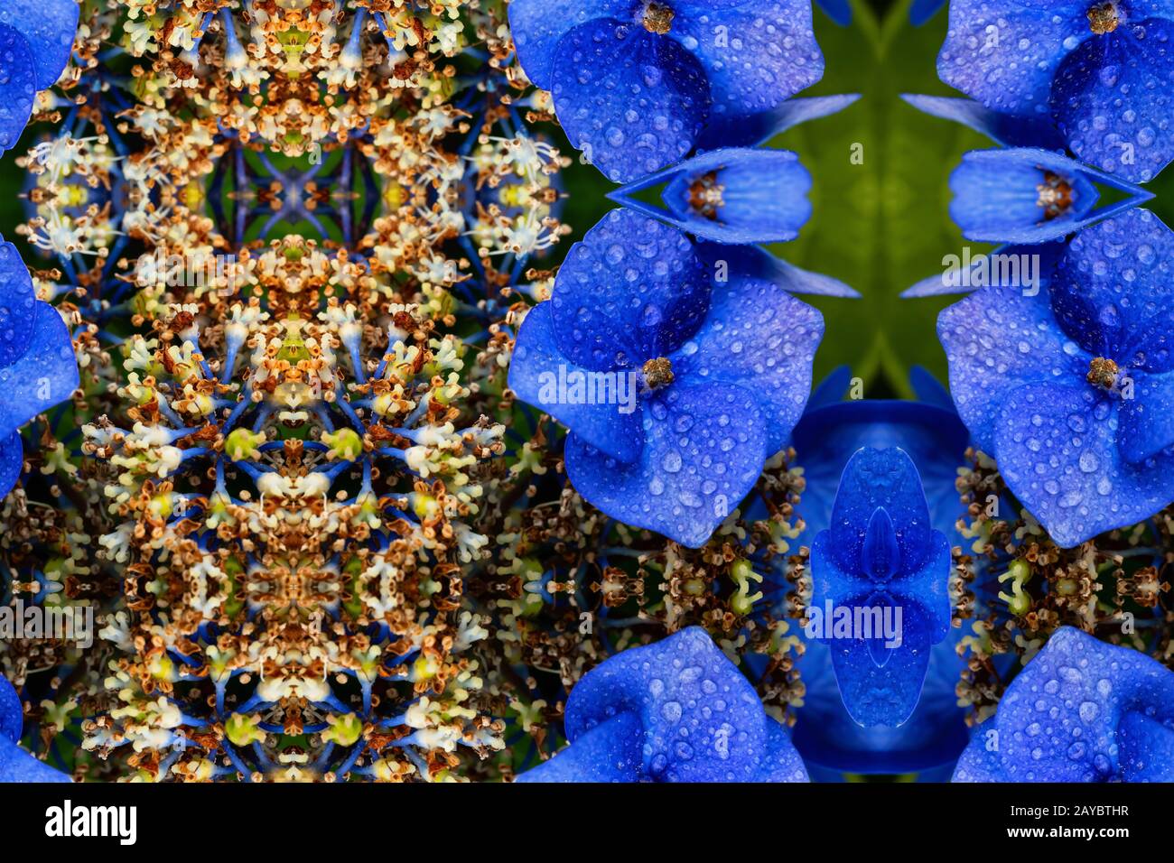 Repeating tile hi-res stock photography and images - Alamy