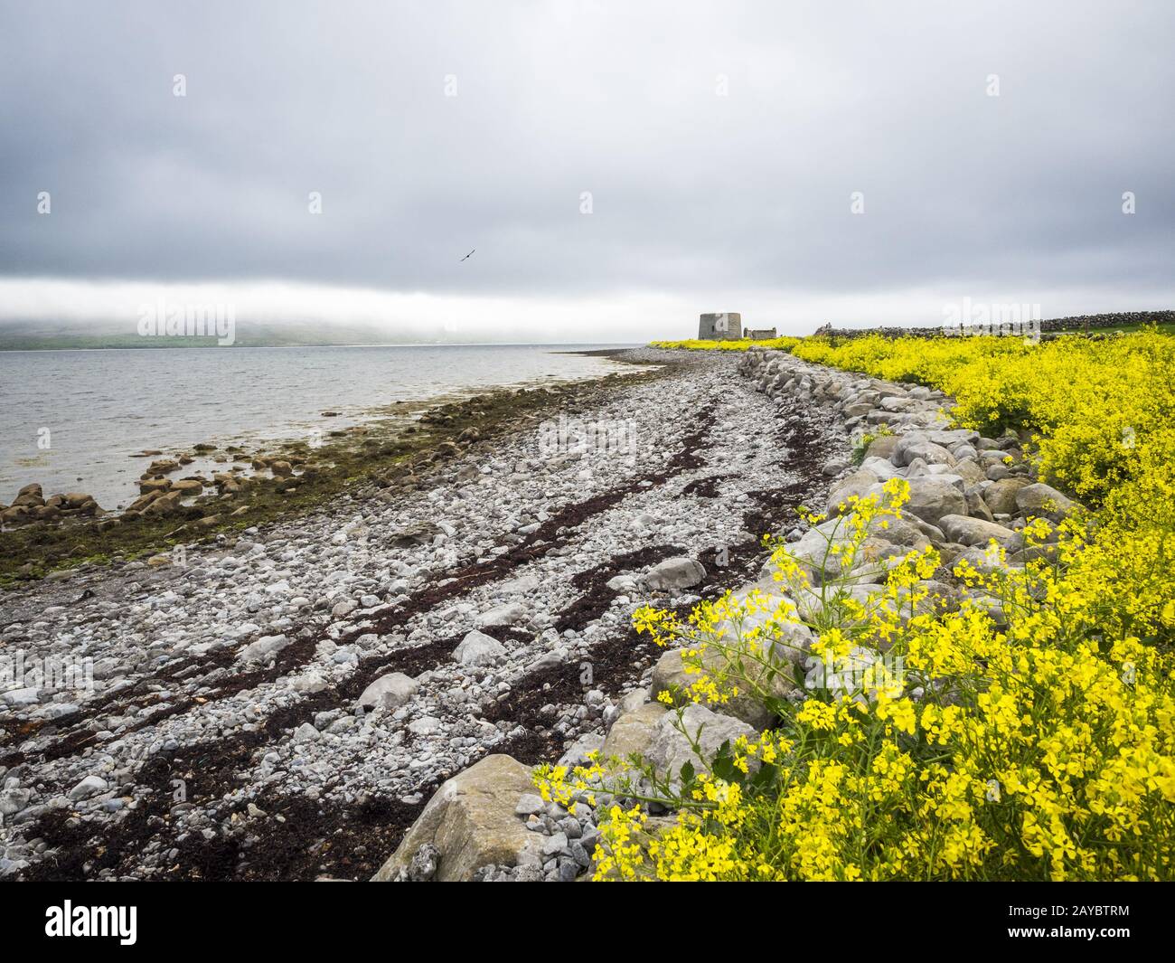 Kinvara hi-res stock photography and images - Alamy