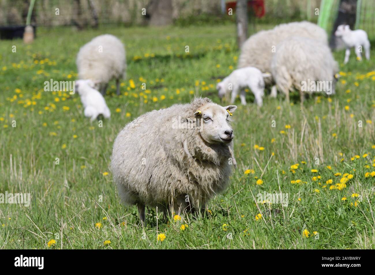 Skudden hi-res stock photography and images - Alamy