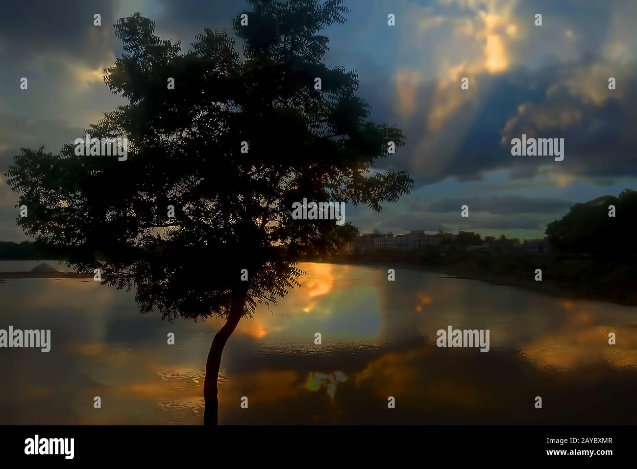 Beautiful sunset silhouette trees along hi-res stock photography and ...