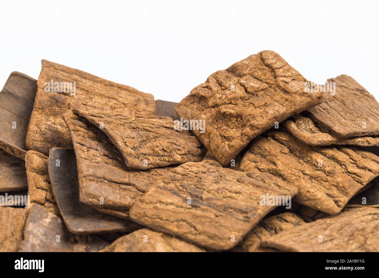 eucommia ulmoides closeup Stock Photo - Alamy