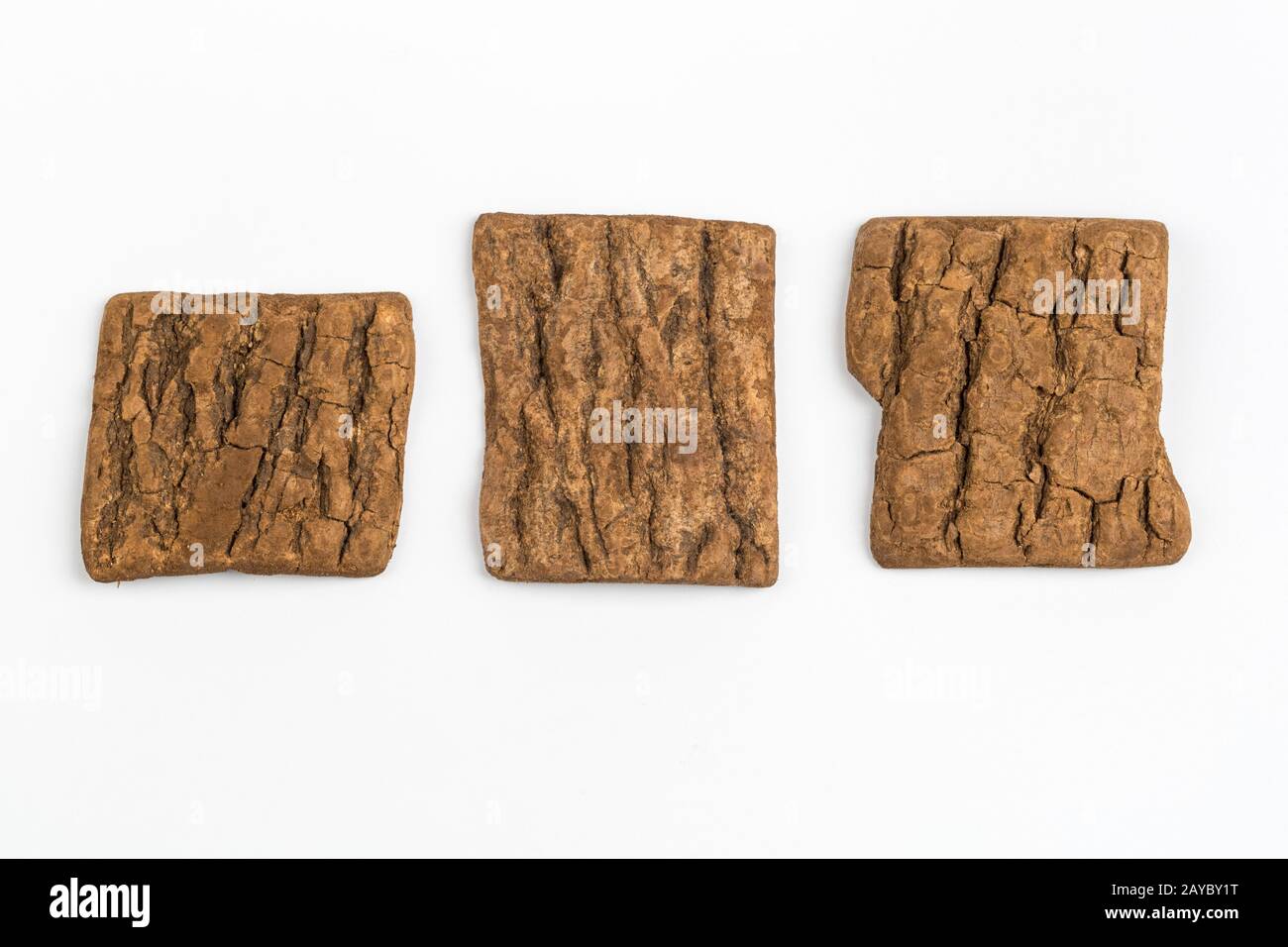 eucommia ulmoides piece isolated Stock Photo - Alamy