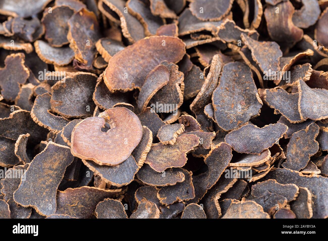 gastrodia tuber slices Stock Photo - Alamy