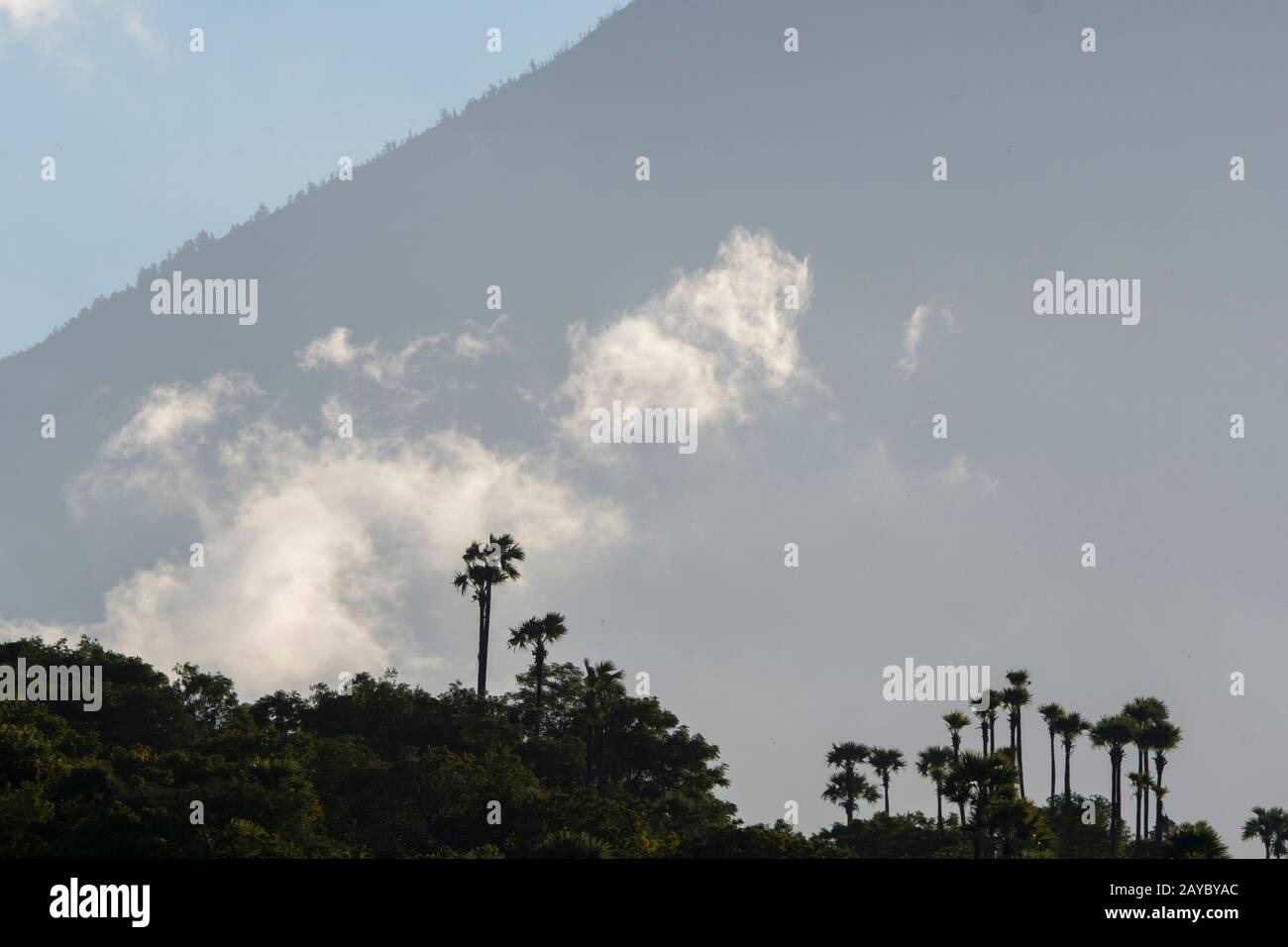 View from Amed of backlit palm trees in front of Mount Agung (an active ...