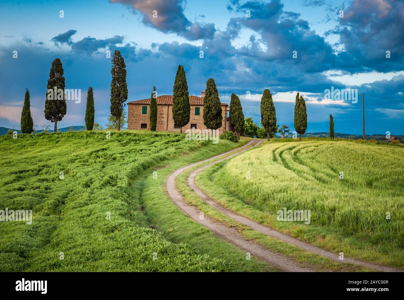 Scenic view of typical Tuscany landscape, Italy Stock Photo - Alamy