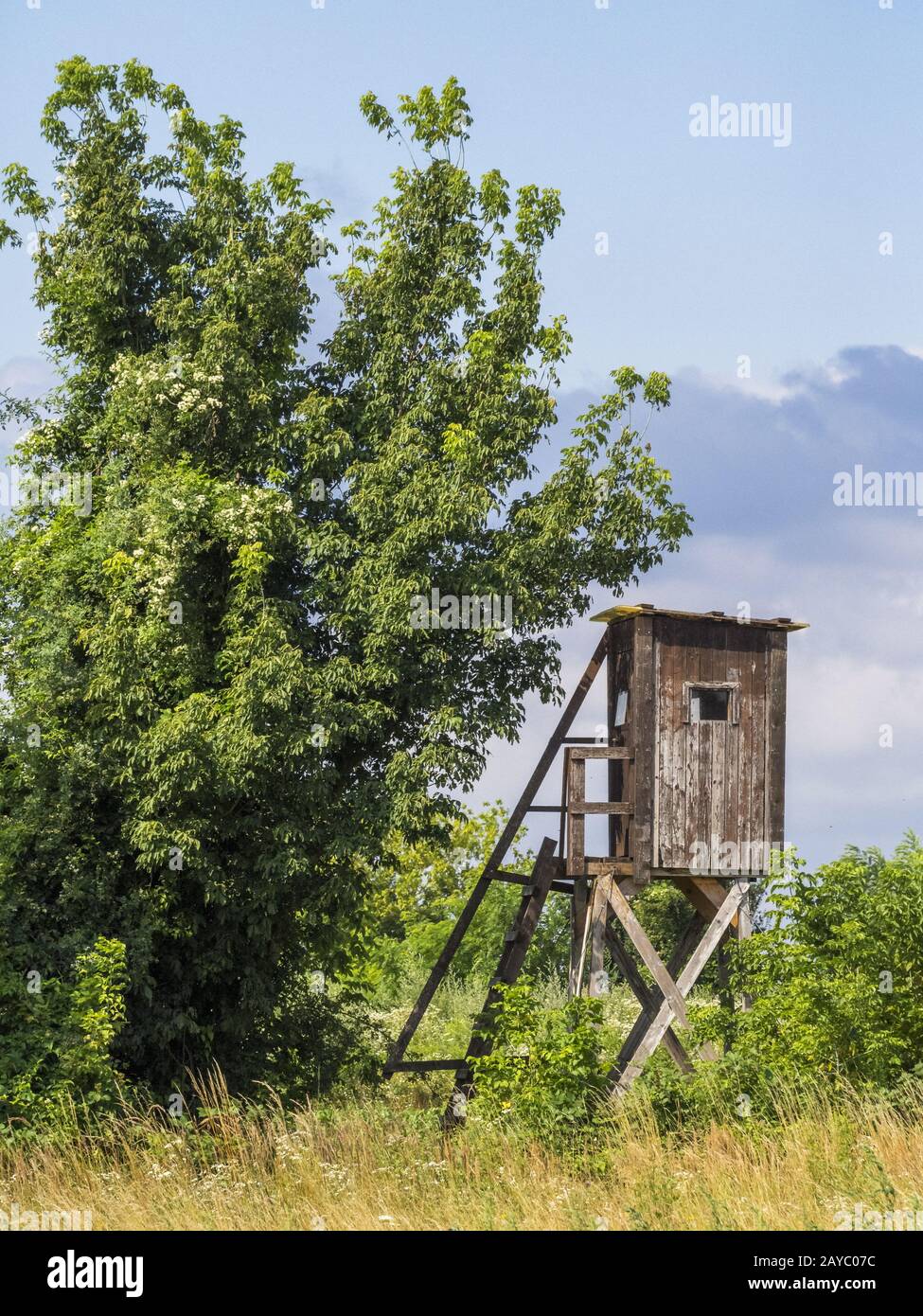 Hunter's cabin in the woods Stock Photo - Alamy